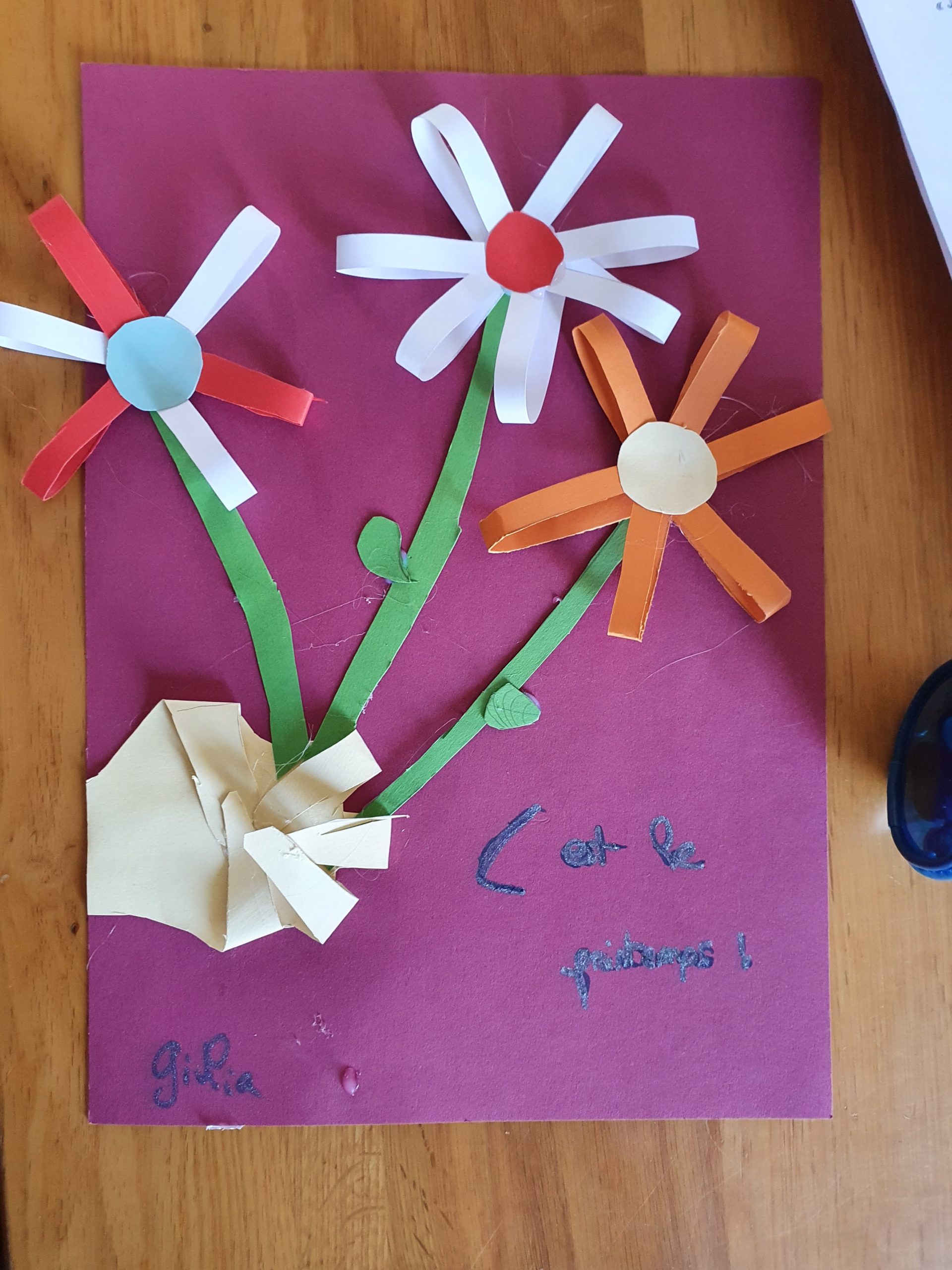 Le printemps est arrivé dans les jardins des CE1 ! – Ecole Notre Dame ...